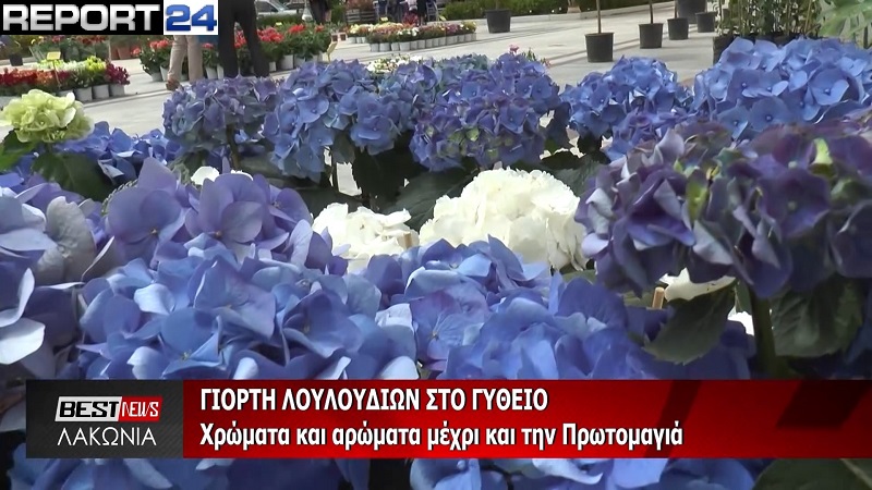 Δείτε το ρεπορτάζ από την 6η Ανθοκομική Έκθεση Γυθείου – Βίντεο ...